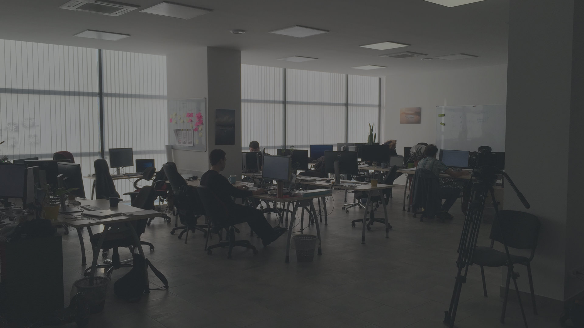 IT Consulting, Bespoke Software and Product Development Services